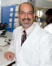 Scott Sherman | UA Neuroscience